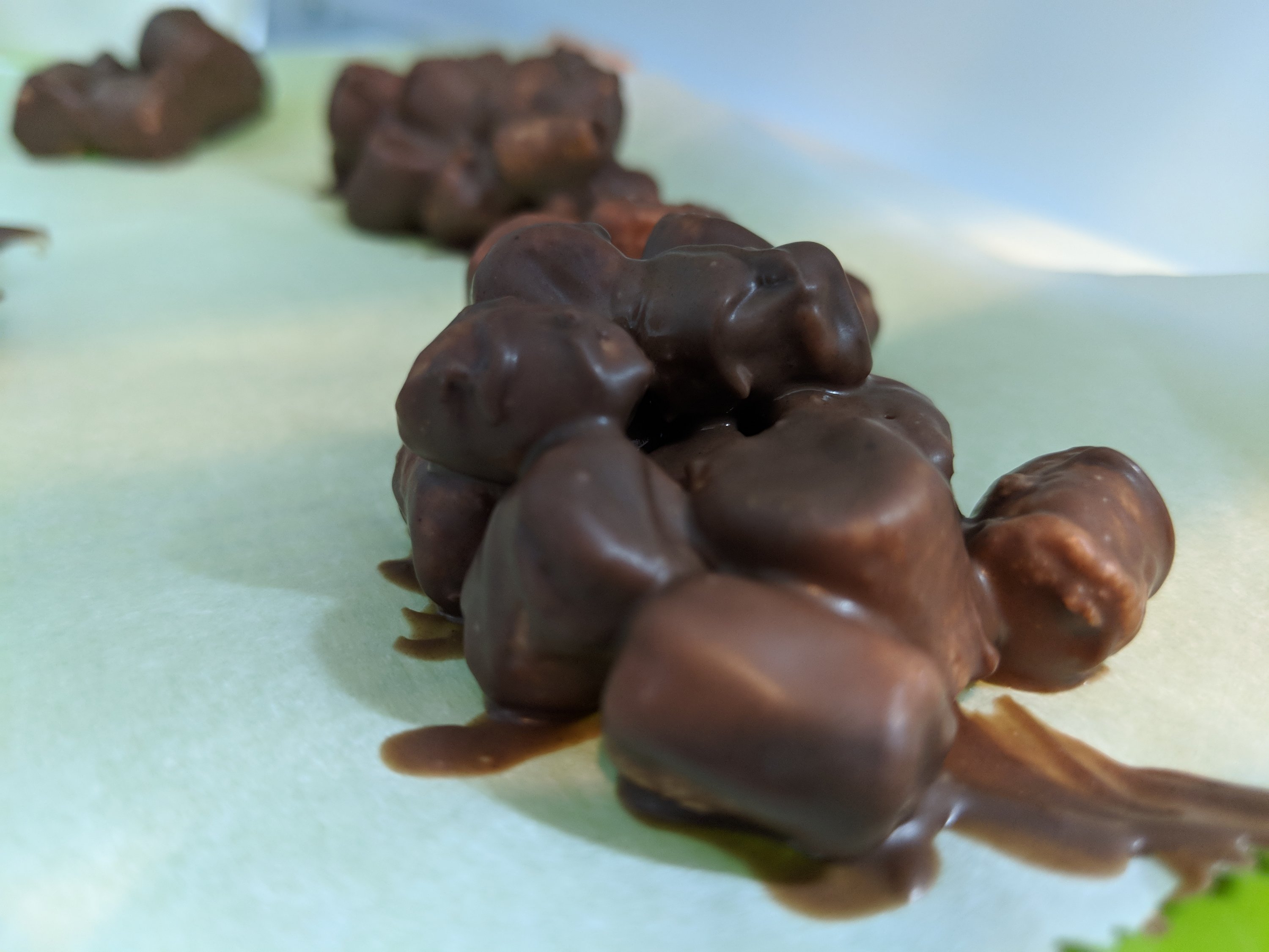 Moose Poop – Martins Take Flight