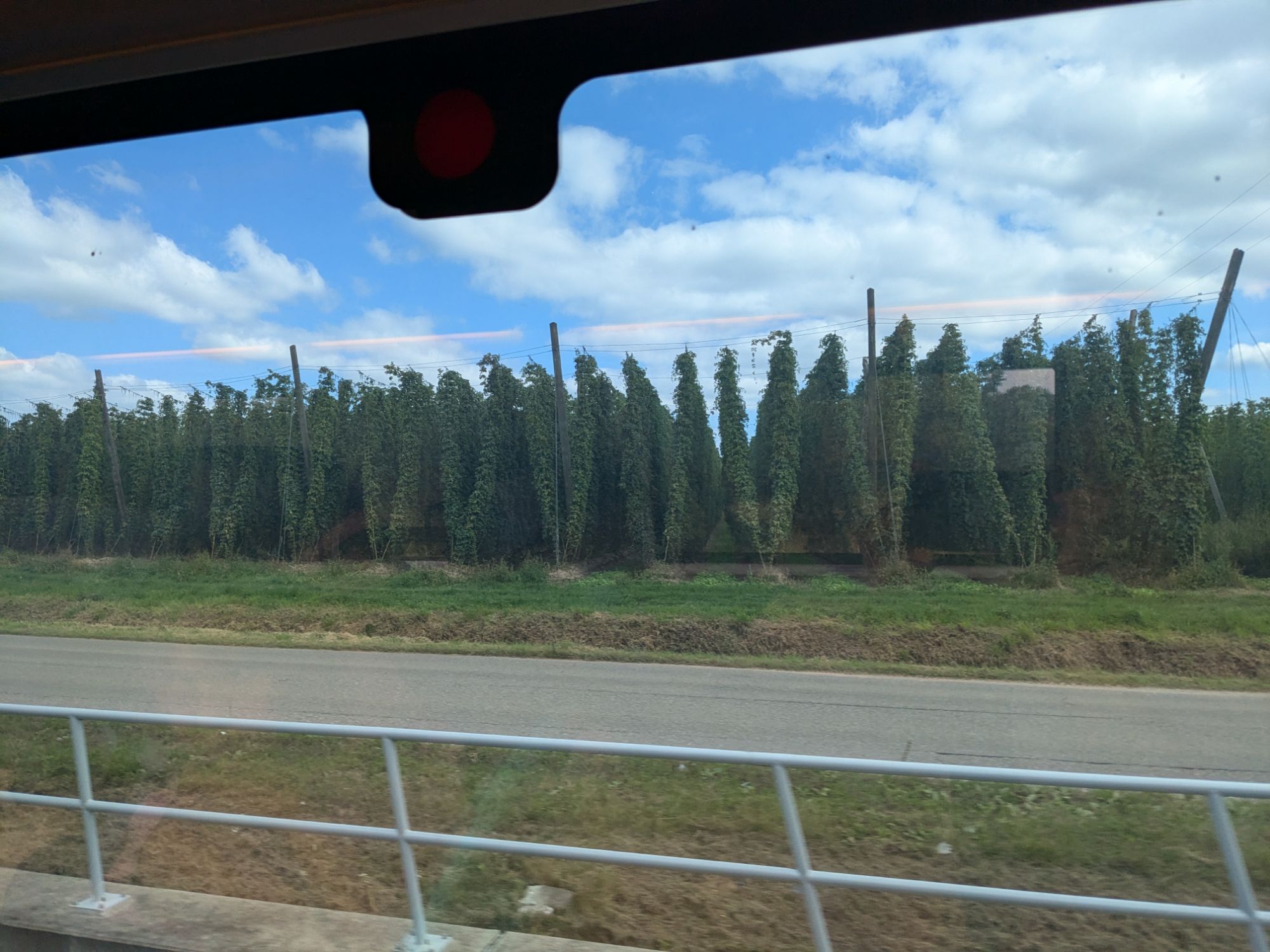 The German Stare and other observations – Martins Take Flight